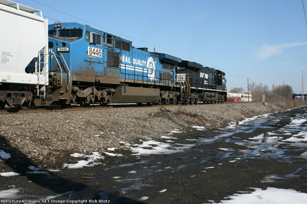 NS 8446